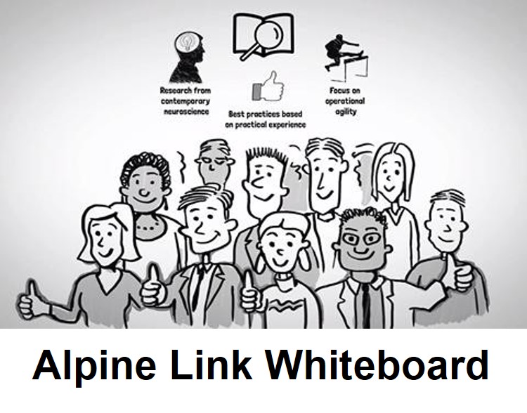 Helping individuals and organizations reach their peak performance ...